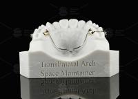 China ADL Transpalatal Arch Space Maintainer Removable Space Maintaining Arch for sale