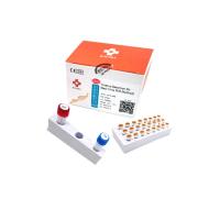 China PCR T Foetus Cat DNA Test Kit Taqman RT Nucleic Acid Testing Kit ISO 13485 for sale