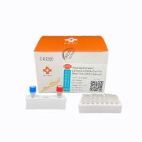 China Hepatopancreas Parvovirus Qpcr Test Kit HPV Prawn Rapid Rt Pcr Kit for sale
