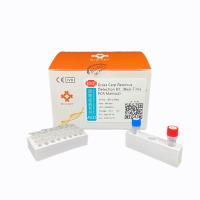 China DNA Taq Aquaculture Test Kit Grass Carp Reovirus  Virus GCRVI Type I PCR Test Kit for sale