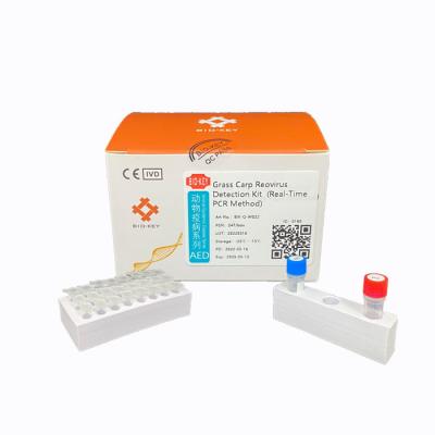 China DNA Taq Aquaculture Test Kit Grass Carp Reovirus  Virus GCRVI Type I PCR Test Kit for sale