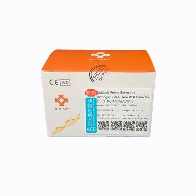 China FHV Multiplex Feline Cat Test Kit Stomatitis Real Time PCR Detection Kit FCV FeLV for sale