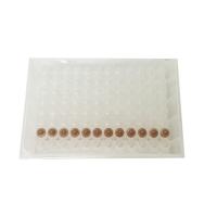 China ISO13485 Magnetic Bead Rapid Virus Extraction Kit 48 Samples RNA Extraction Kit for sale