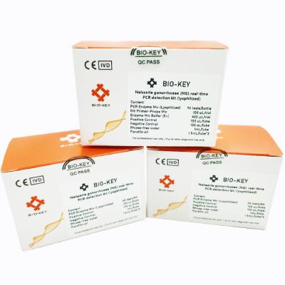 China Lyophilized Neisseria Gonorrhoeae NG Real Time PCR Detection Kit 96 Tests/Kit for sale