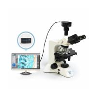 China 30° Tilted Three Eye Cylinder Upright Microscope B60 for sale
