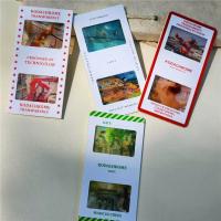 China Custom OEM Film Slide Card with Premium Transparent Film and Offset Full-Color Printing for Personalized Photo Cards for sale