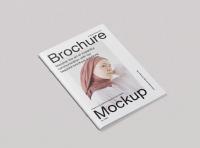 China Custom Full Color Saddle Stitch Promotional Brochure for sale