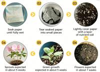 China Plantable Seed Paper Cards With Biodegradable Eco-Friendly Material For Invitations for sale