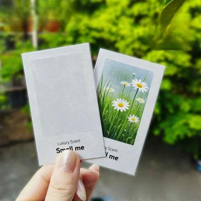 China Water Sensitive Fragrance Testing Paper Strips For Perfume Retail Sampling for sale