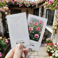 China Water Sensitive Fragrance Testing Paper Strips For Perfume Retail Sampling for sale