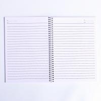 China Spiral Bound Lined Notebooks With Twin-Wire Binding For School And Office for sale