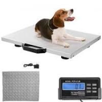 China Floor Scale Stainless Steel With Indicator Animal Weigher for sale