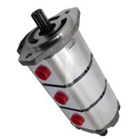 China CAT 301.5 301.6 301.8 Main Hydraulic Gear Pump for Mini Excavator Parts 201-0920 202-0879 for sale