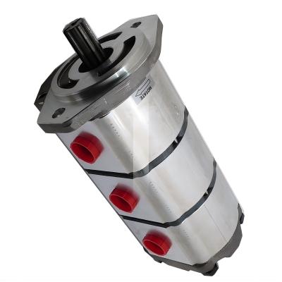 China CAT 301.5 301.6 301.8 Main Hydraulic Gear Pump for Mini Excavator Parts 201-0920 202-0879 for sale