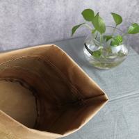 China Sundries Set Multifunctional Reusable Washable Handicraft Plant Waterproof Paper Bag for sale