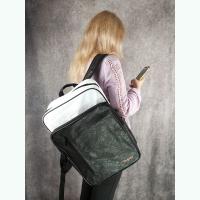 China Zipper Closure Waterproof Casual Sports Design Laptop Backpack for High Durability for sale
