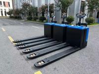 China Customized Electric Pallet Staker Jack with 3000 kg Capacity and Pedal Protection Arm Walkie Model for sale