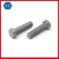 China ISO4017 Grade 8.8 SS Hex Head Screws Hot Dip Galvanized Hex Head Cap Bolt for sale