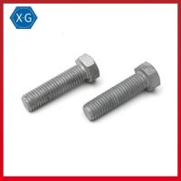 China ISO4017 Grade 8.8 SS Hex Head Screws Hot Dip Galvanized Hex Head Cap Bolt for sale