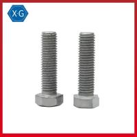 China ISO4017 Grade 8.8 SS Hex Head Screws Hot Dip Galvanized Hex Head Cap Bolt for sale