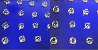 China Panasonic CM110S Nozzle N610030517AC N610017317AD N610017371AC CE Certified for sale