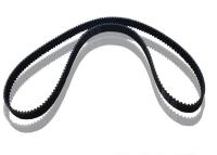 China NPM belt N510061365AA for sale