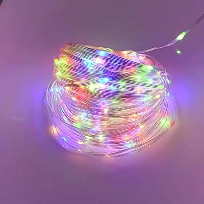 China 100/200/300 LED Rope String Lights Waterproof Copper Wire Tube Fairy Garland Christmas Light for Garden Yard Path Tree Decor for sale
