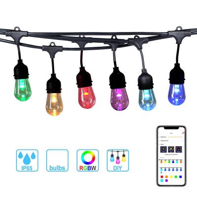 China LED Cafe lights with Tuya APP Wifi smart RGBW String Lights 48ft 24sockets hanging lights for patio comme for sale