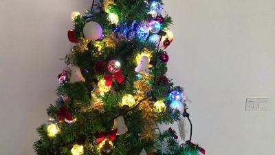 China Chinlighting LED Copper Wire G40 String Lights 12ft with 12 Bulbs for sale