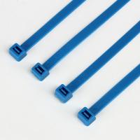 China Reusable Big Blue Self Locking Nylon Cable Zip Ties 7.6MMx250MM for sale