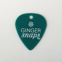 China Green Small Plastic Hooks Customized Logo Printing Plastic Guitar Pick for sale
