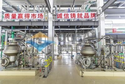 China Automatic Fiberglass Edible Oil Processing Equipment Small Scale Press Plant 1-20TPD for sale