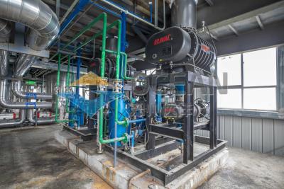 China Cottonseed Oil Press Plant Cold Press ISO9001 Automatic 1-20TPD Oil Extraction Machine for sale