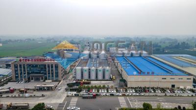 China Edible Oil Extraction Plant PLC Control Steam Heating Custom Capacity Stainless Steel for sale