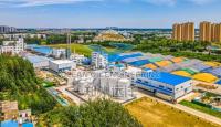 China Customized Oil Pretreatment Plant 30-1500tons Edible Oil Pressing Machinery for sale