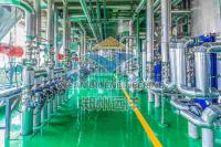 China ISO9001 Physical Refining Plant 1000TPD for Cottonseed Oil Processing for sale