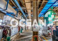 China High Efficiency OEM Soy Edible Oil Processing Equipment with 40 Million Yuan Investment and 200+ Global Projects for sale