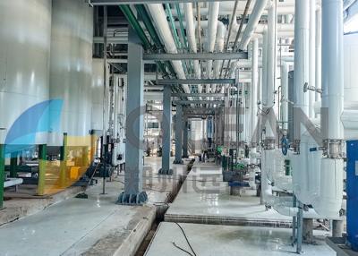 China OEM Vegetable Oil Press Equipment - Complete Palm Oil Production Line with Cold & Hot Processing Technology for sale