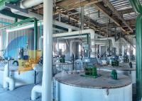 China 10-1500 TPD Mixed Oil Seeds Refinery Plant with Patented Vacuum System for Vegetable Oil Production for sale