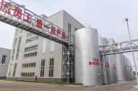 China Vegetable Oil Extraction Plant Turnkey Project with Pretreatment, Leaching & Refining Systems 100-500 TPD Capacity for sale