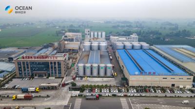 China 10-1000TPD Small Variety Oil Seeds Processing Production Line with High Automation for Multiple Oil Types for sale