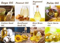 China Tea Seeds Oil Press Plant 10-1000TPD Capacity Edible Oil Making Machinery for Small Variety Seeds for sale