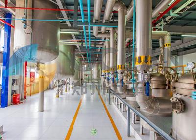 China Small Variety Oil Seeds Processing Production Line 10-1000TPD Turnkey for sale