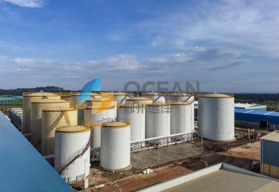 China Vertical Seed Conditioner for Vegetable Oil Processing - 10-1000 TPD Capacity with Modular Design for sale