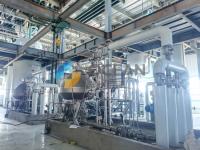 China Palm Oil Physical Refining Equipment 200-500 TPD Capacity for High-Acidity Edible Oils for sale