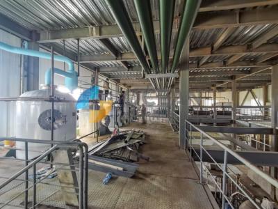China ZX130 Small Scale Edible Oil Press Machine 6-8TPD Capacity for Industrial Use for sale