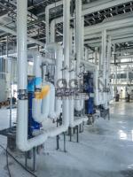 China Oil Pretreatment Plant with 3D Design for Palm Oil Processing - 100kg Capacity per Tree, 45-50% Kernel Yield for sale