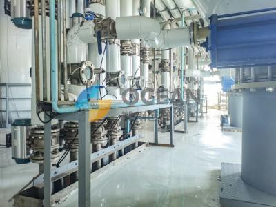 China 10-1500TPD Vegetable Oil Refinery Plant with Patented Technology for Soybean and Mixed Oil Processing for sale