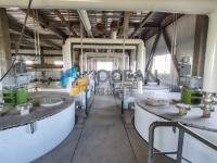 China Industrial Edible Oil Winterization Dewaxing Equipment 10-1000T/D Capacity for Sunflower & Rice Bran Oil for sale
