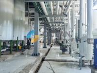 China Industrial Cold Oilseed Press Plant with Freezing Vacuum Deodorization - 9 Processing Techniques & 200+ Projects for sale